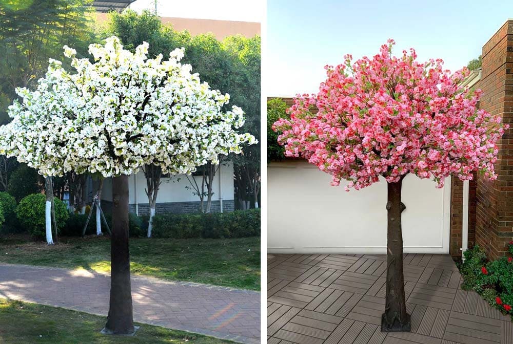 Cherry Blossom Tree Hire in Melbourne | DecorTree | ABIA